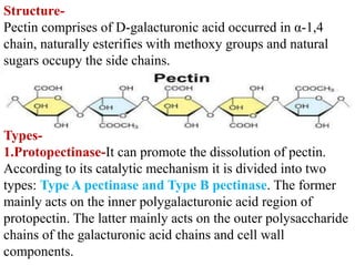 Industrial fungal metabolites enzymes pectinases | PPT