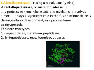Industrial fungal metabolites enzymes proteases | PPT
