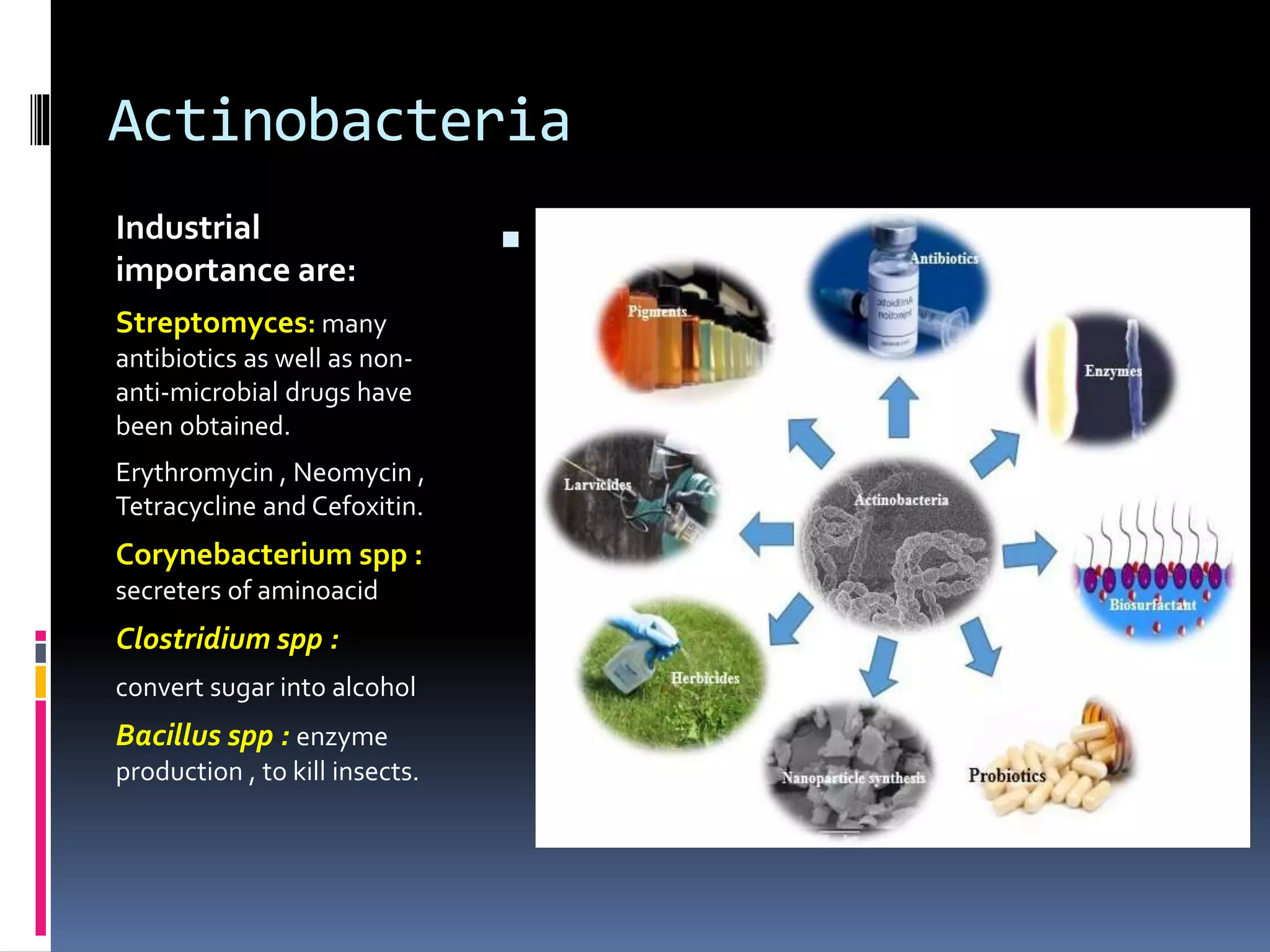 INDUSTRIAL IMPORTANT MICROBES .pptx