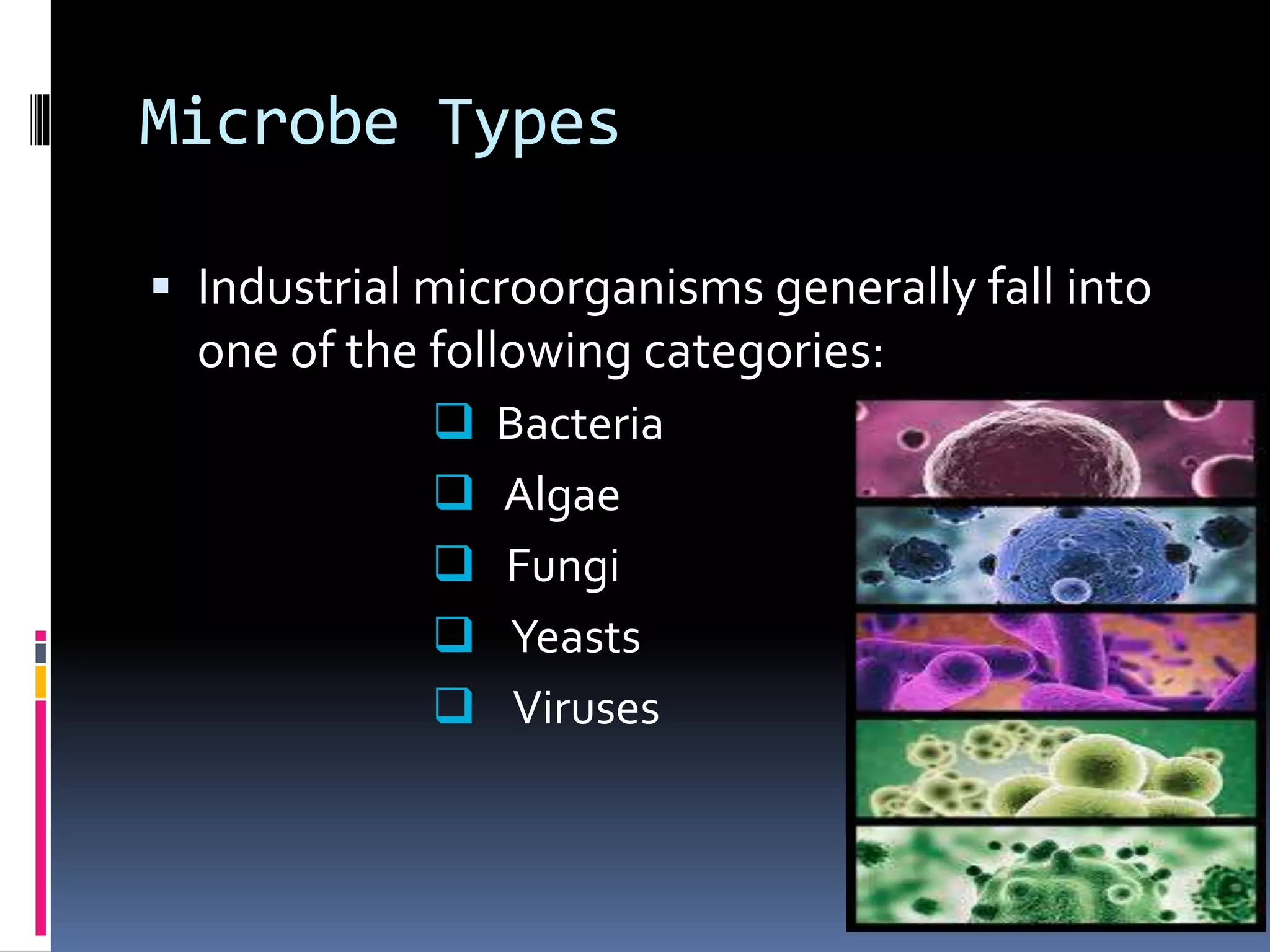 INDUSTRIAL IMPORTANT MICROBES .pptx