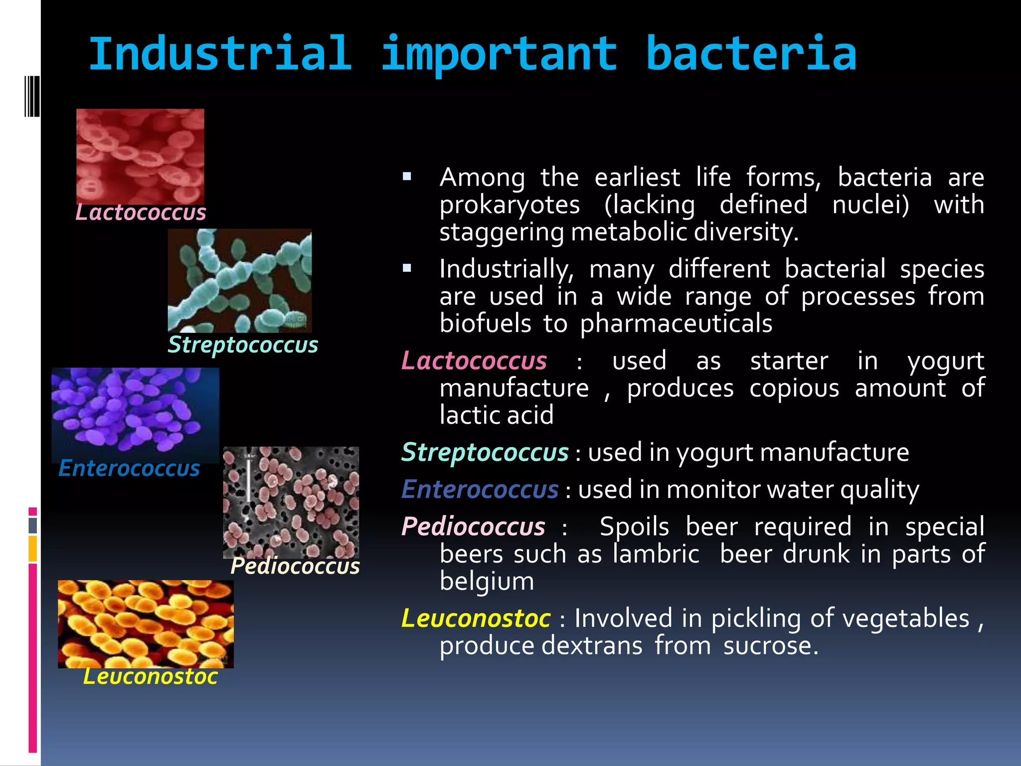 INDUSTRIAL IMPORTANT MICROBES .pptx