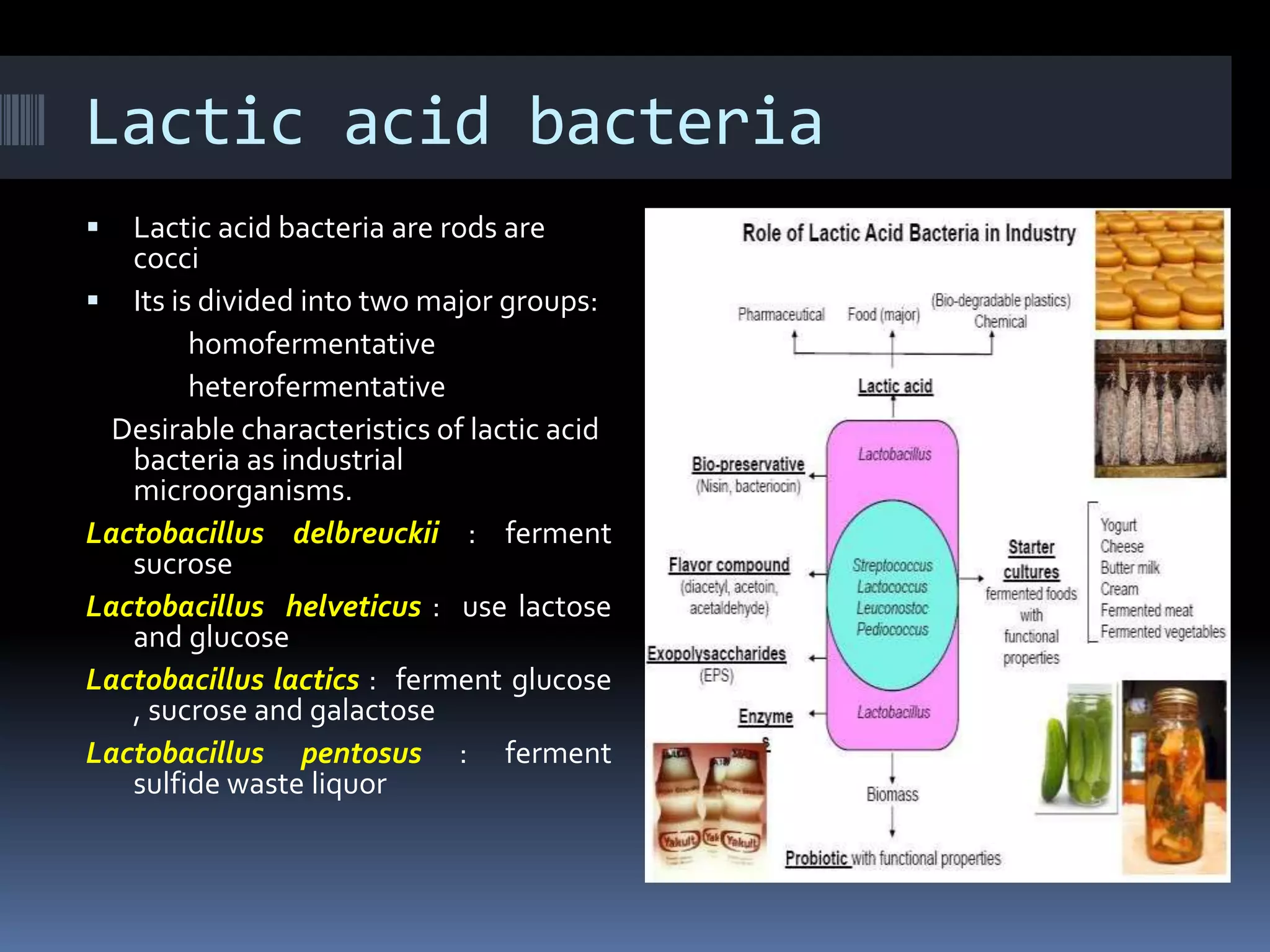 INDUSTRIAL IMPORTANT MICROBES .pptx