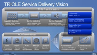 Industrialised Service Delivery | PDF