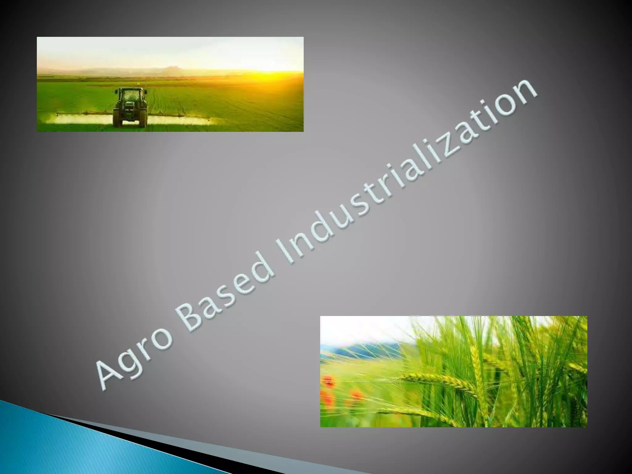 Industrialization | PPTX