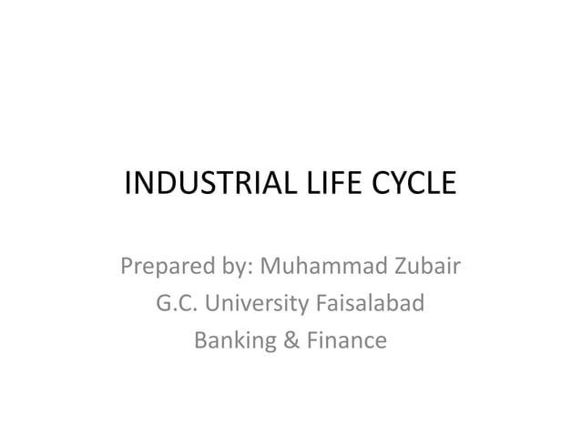 Industrial life cycle | PPTX | Business | Business and Finance