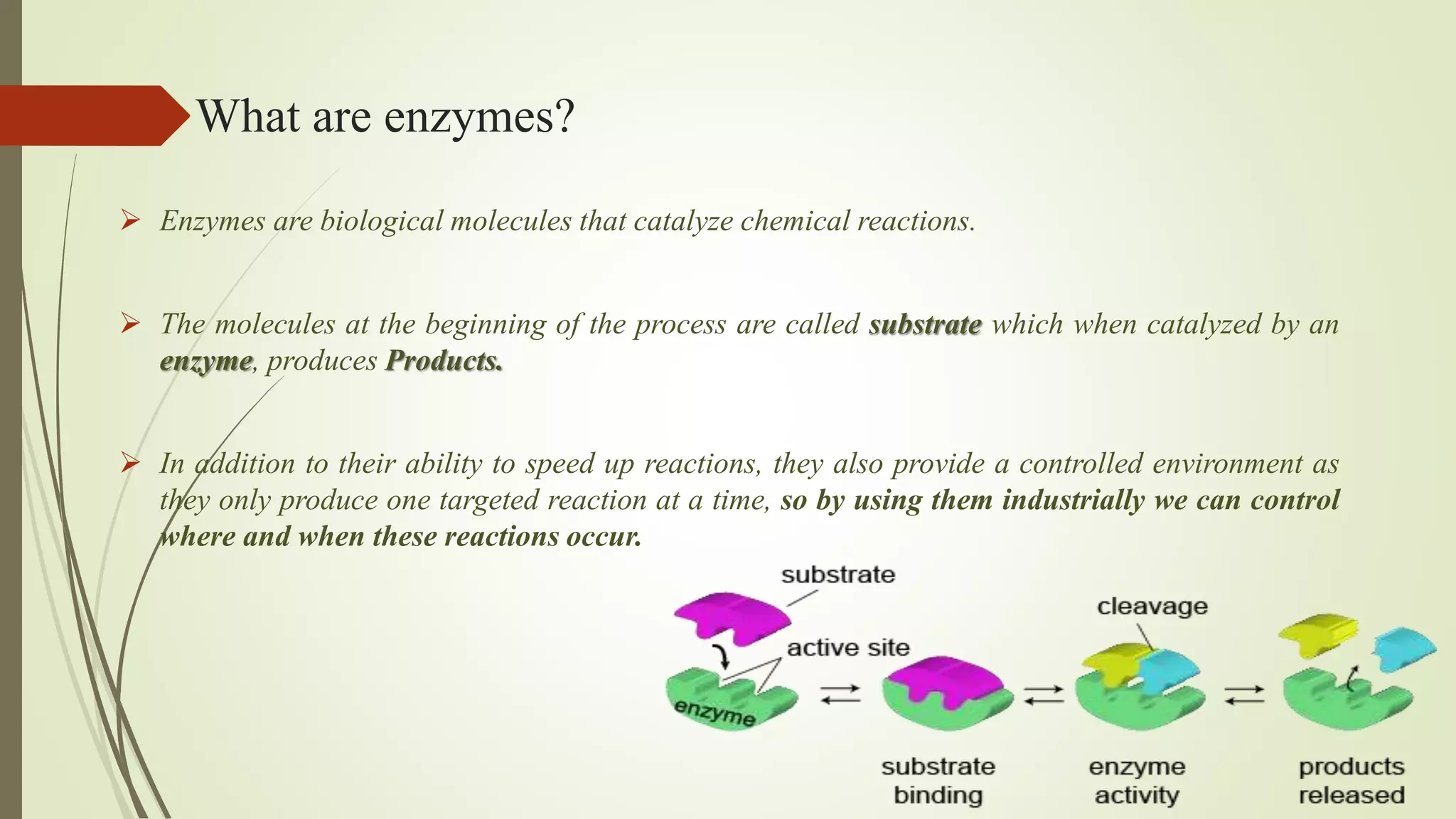 Three Industrially important enzymes | PPTX