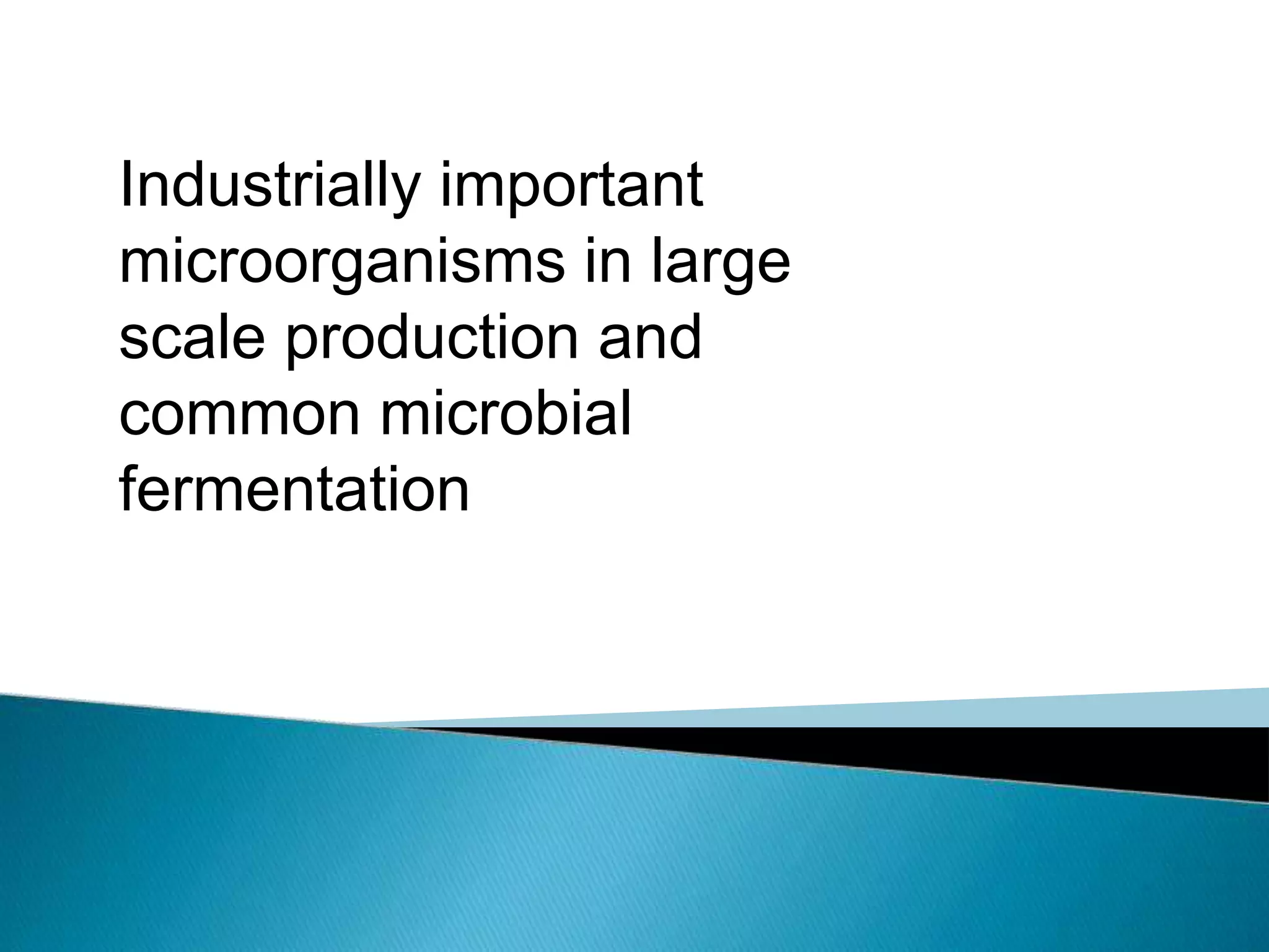 Industrially important microbes their large scale production | PPTX