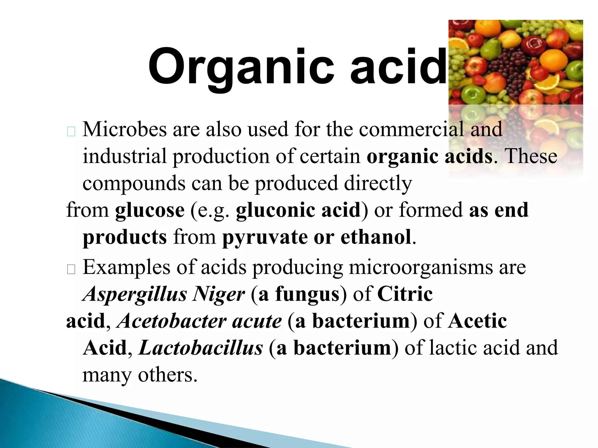 Industrially important microbes their large scale production | PPTX