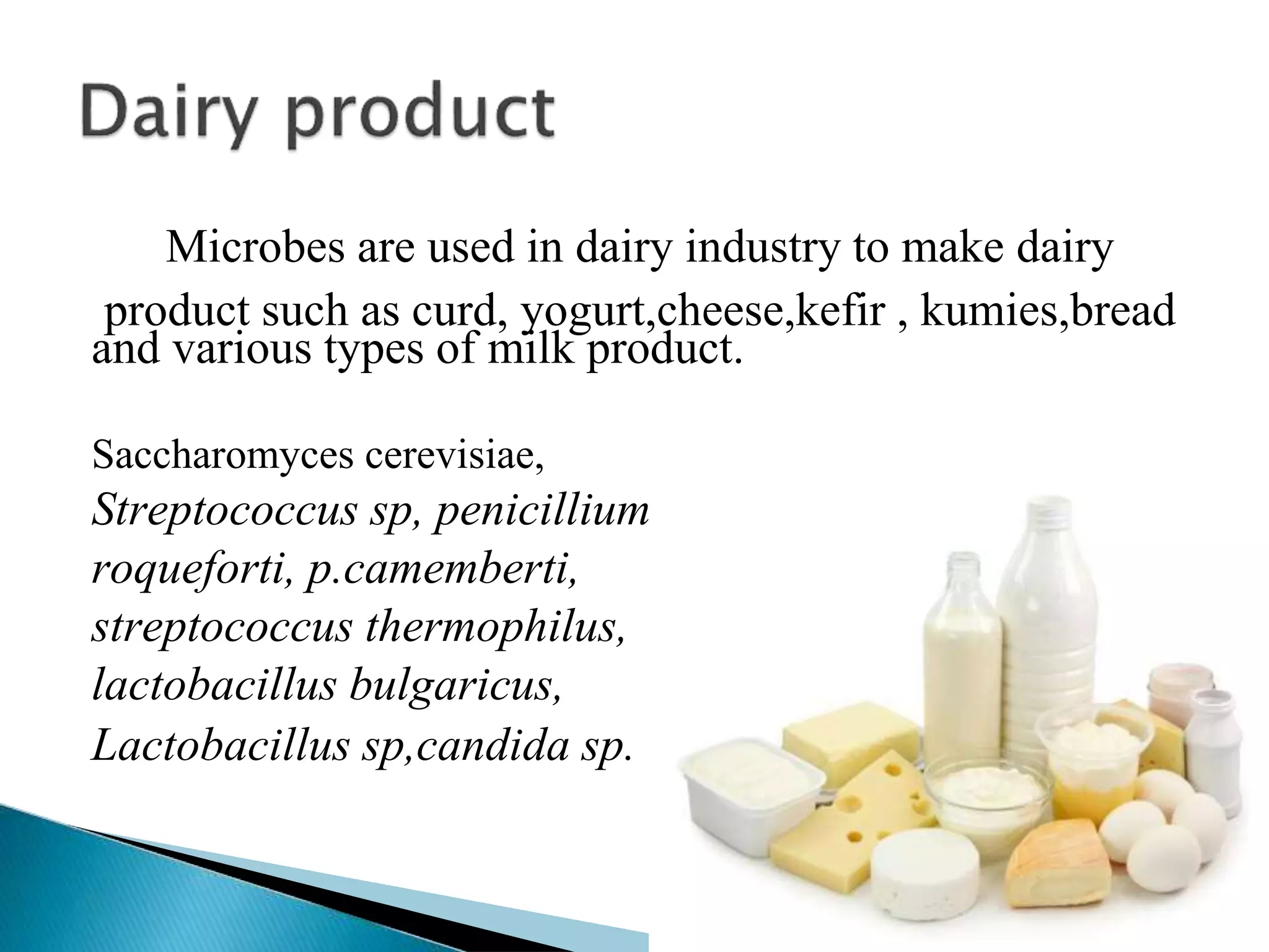 Industrially important microbes their large scale production | PPTX