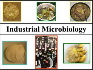 Industrial microbiology | PPTX