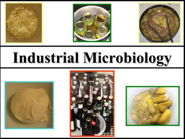 Industrial microbiology | PPTX