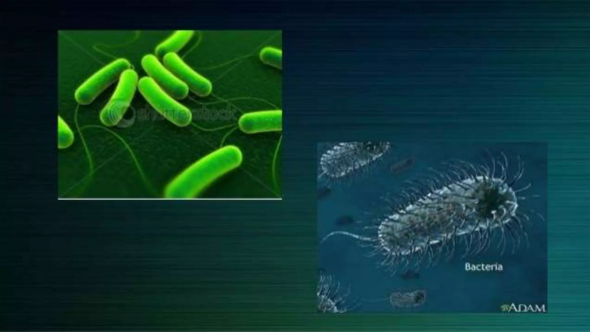 Industrial microbiology | PPT | Free Download
