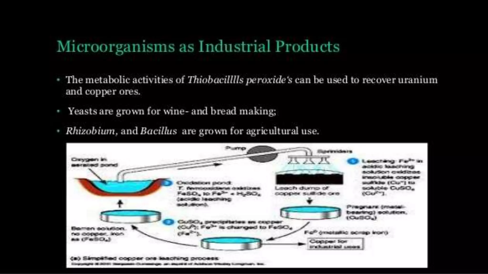 Industrial microbiology | PPT