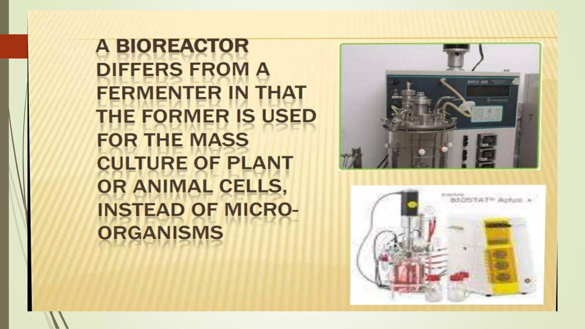 Industrial microbiology | PPTX