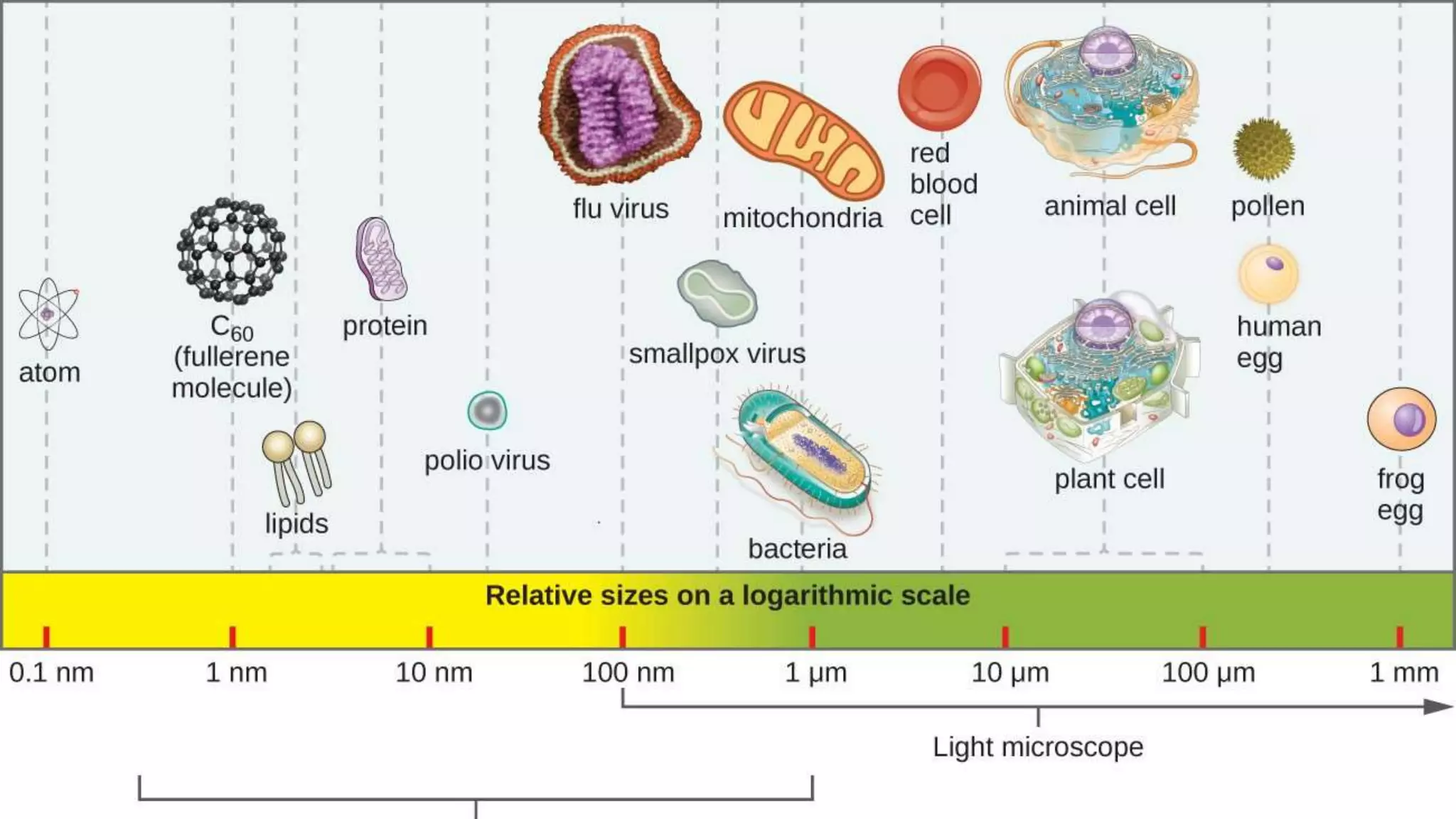 Industrial microbiology | PPTX