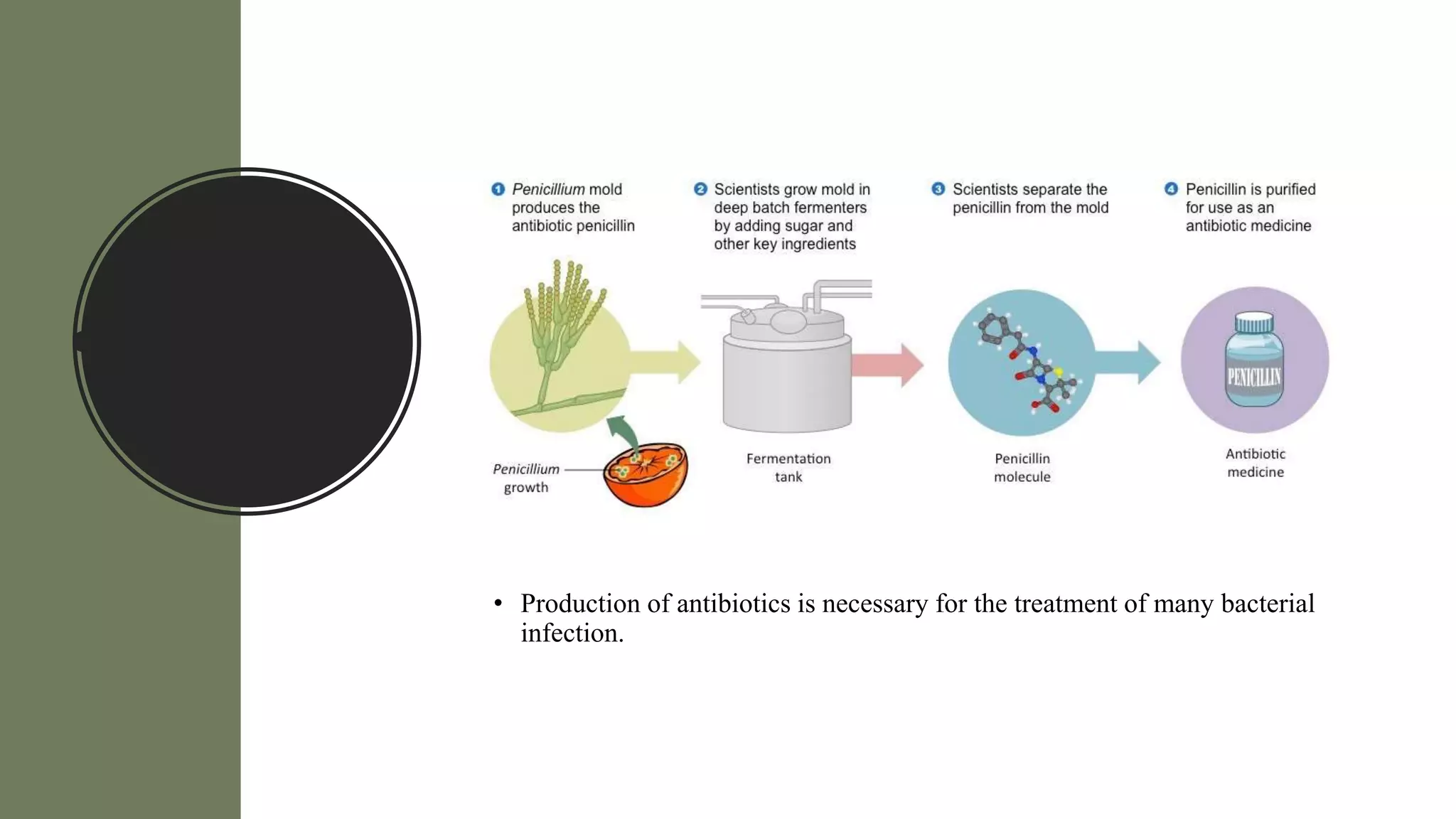 Industrial microbiology | PPTX