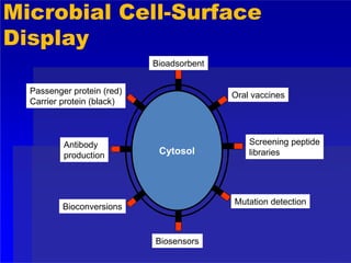 Industrial microbiology and biotechnology | PPTX