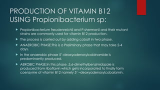 Industrial microbiology|Biosynthesis of Vitamin B2& Vitamin B12.pptx