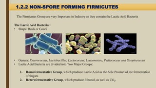 Industrial Microorganisms.pptx