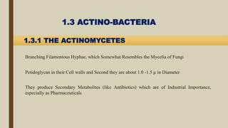 Industrial Microorganisms.pptx
