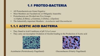Industrial Microorganisms.pptx