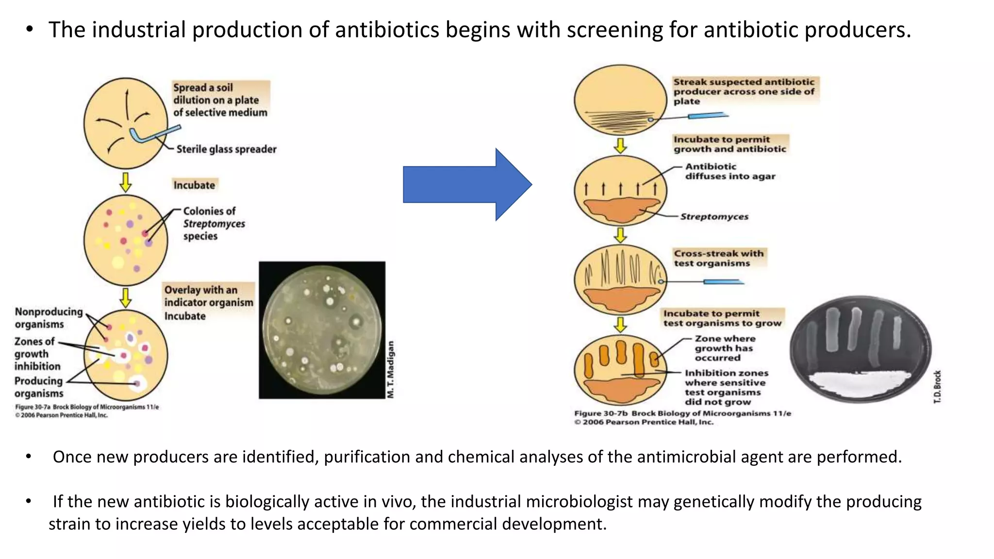 Industrial microorganisms and product formation | PPTX
