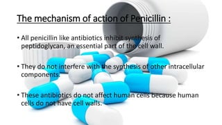 Industrial microorganisms and product formation | PPTX