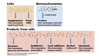 Industrial microorganisms and product formation | PPTX