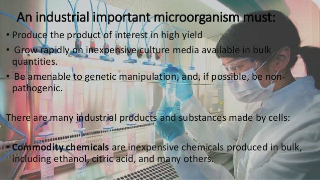 Industrially Important Microorganisms