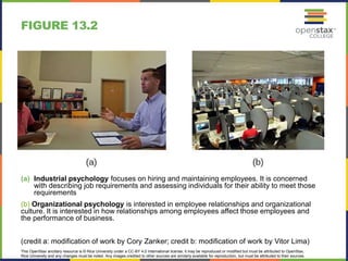 Industrial Organizational Psychology | PPTX