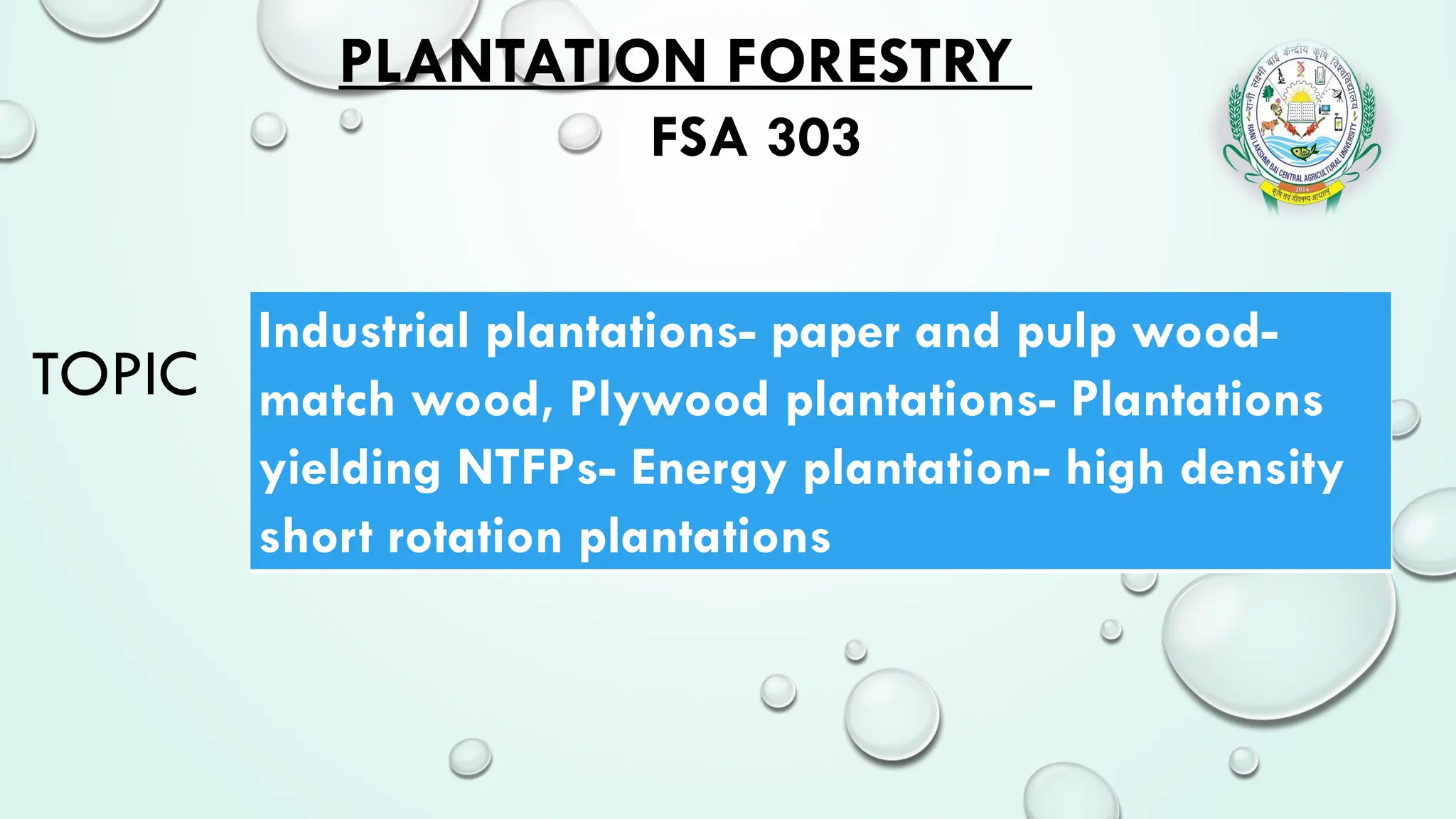 industrial plantataion. Plantation forestry pptx | PPT