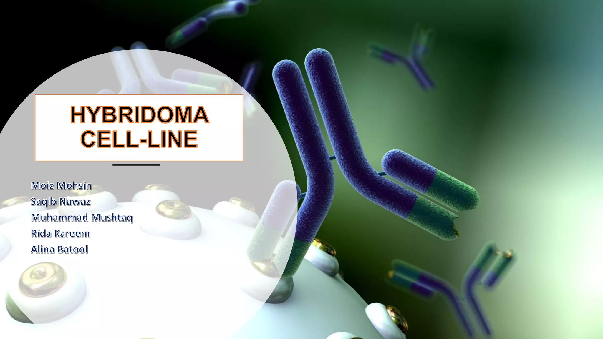 Hybridoma cell lines Introduction, Production, Growth, Limitations and ...