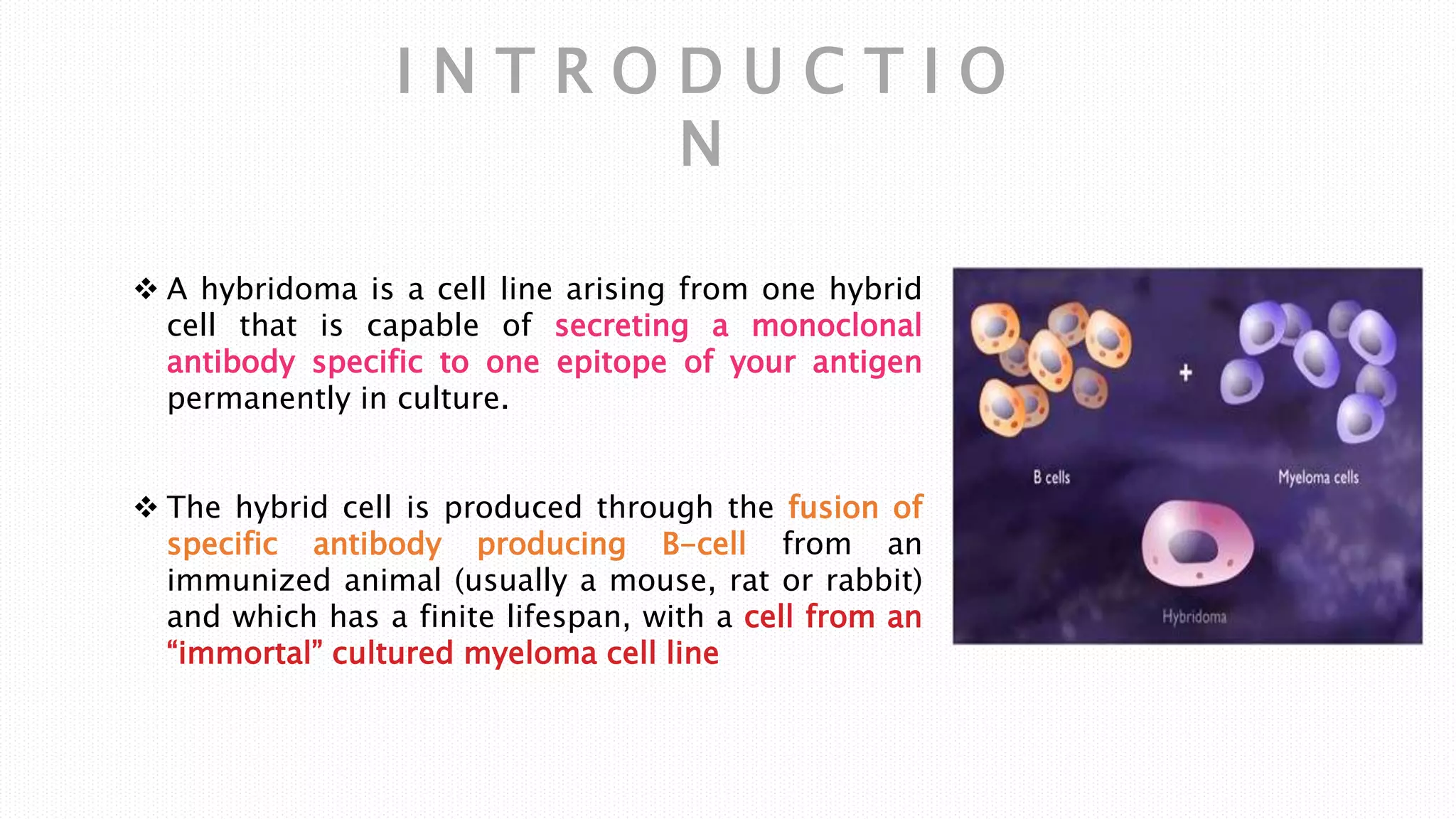Hybridoma cell lines Introduction, Production, Growth, Limitations and ...