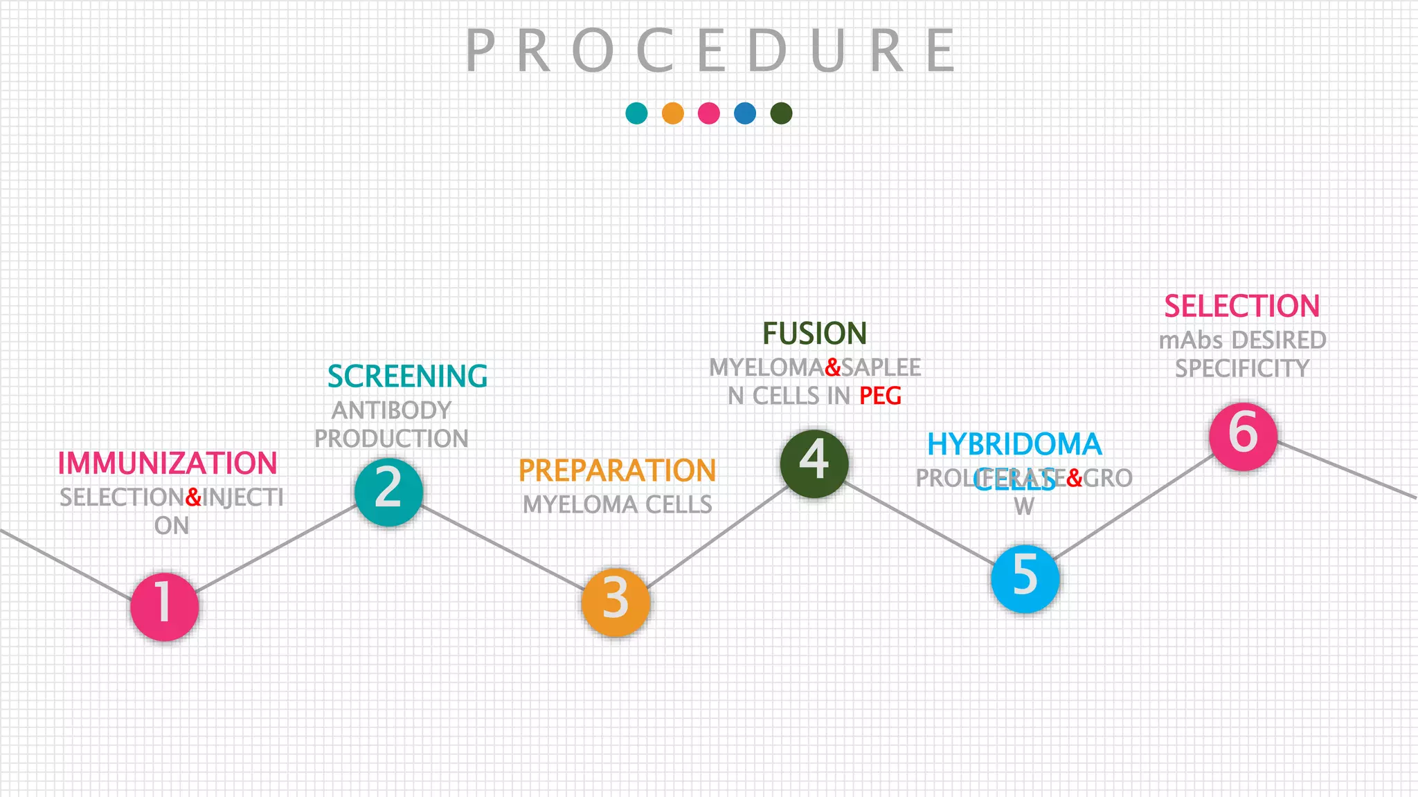 Hybridoma cell lines Introduction, Production, Growth, Limitations and ...