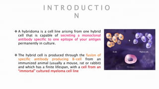 Hybridoma cell lines Introduction, Production, Growth, Limitations and ...