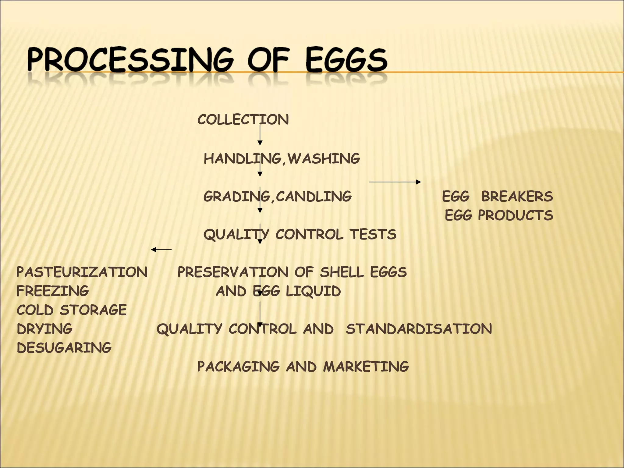 Industrial procesing of eggs | PPT