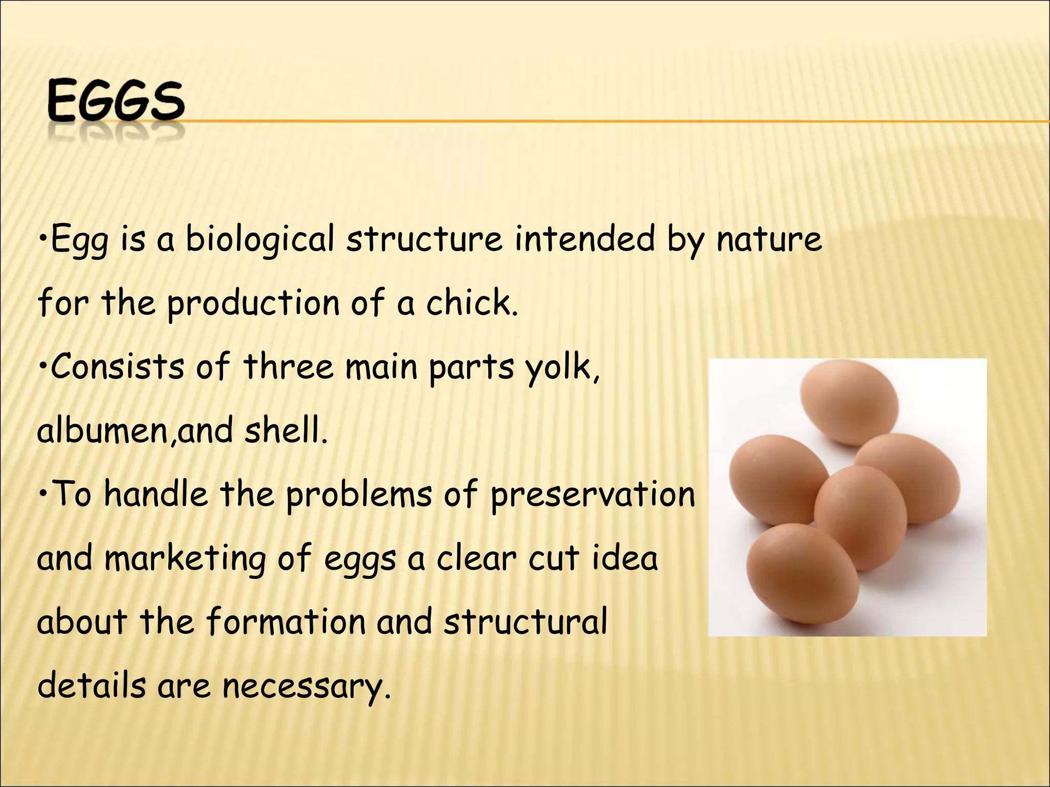 Industrial procesing of eggs | PPT