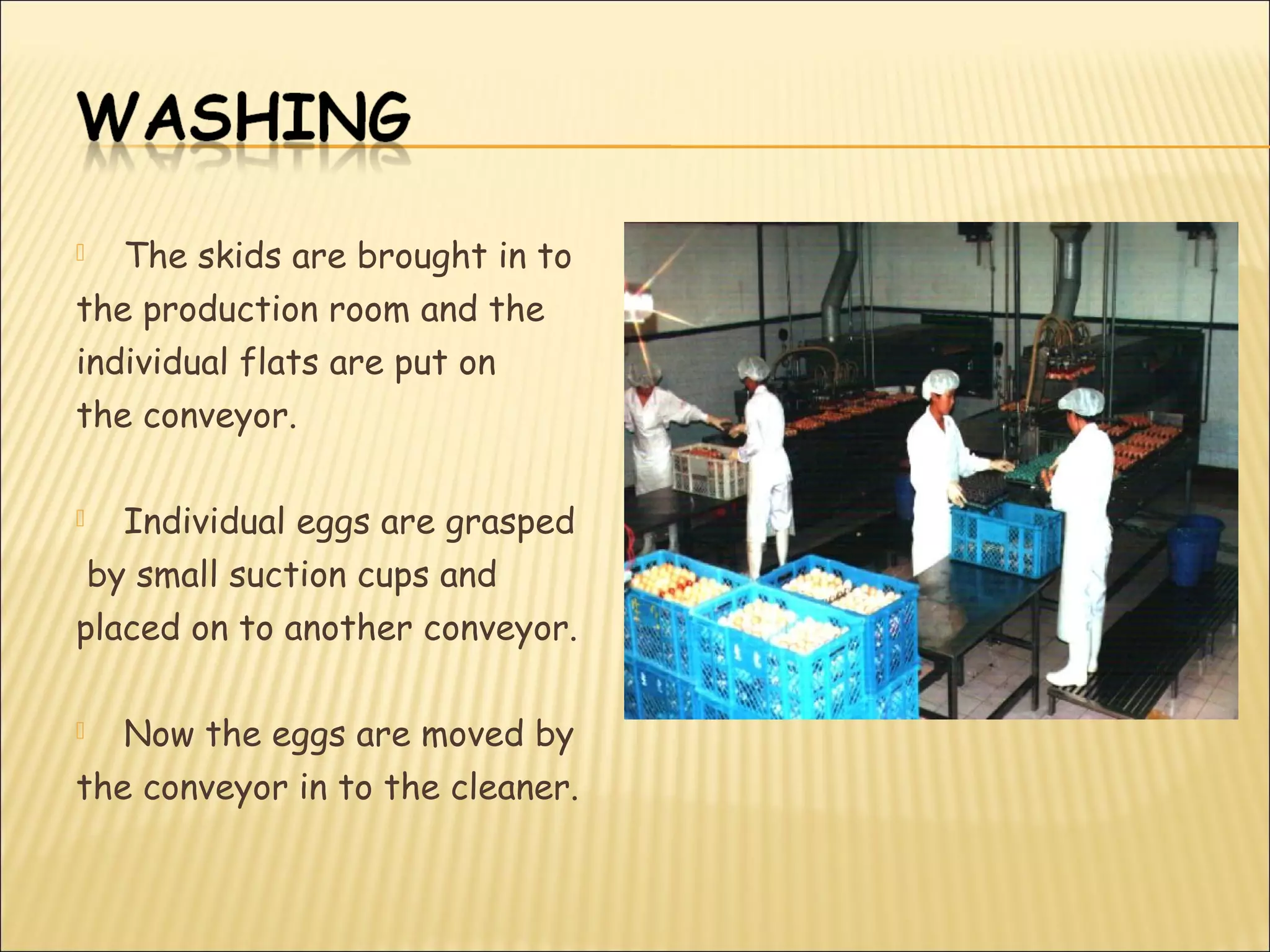 Industrial procesing of eggs | PPT
