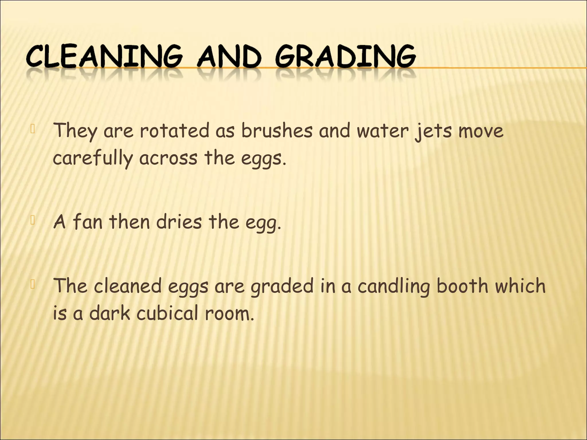 Industrial procesing of eggs | PPT