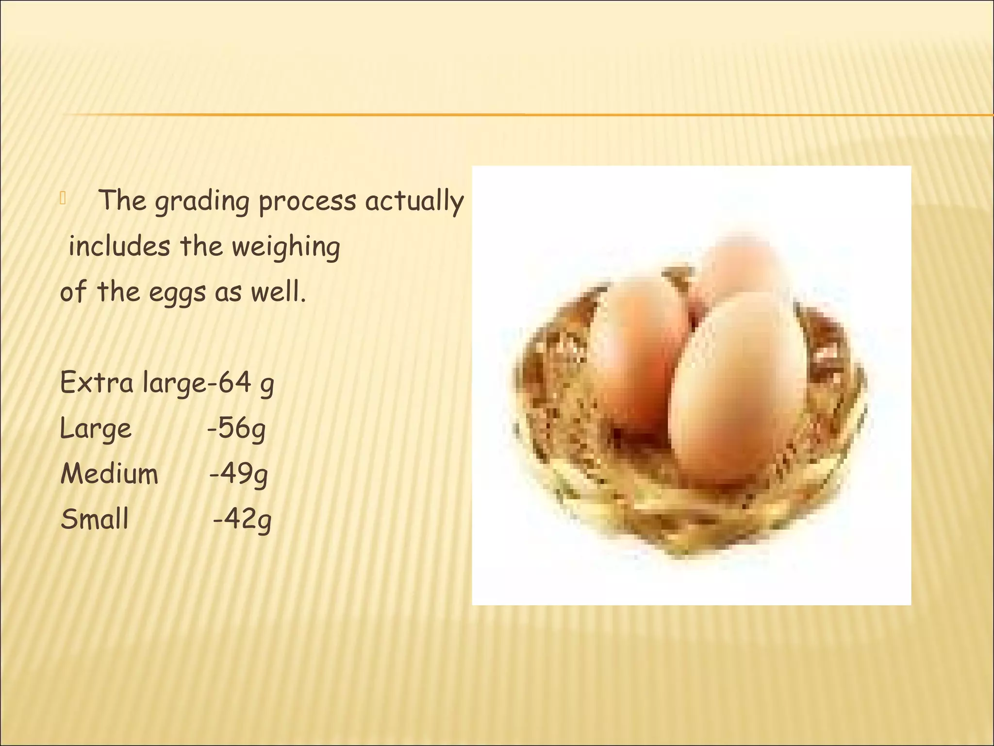 Industrial procesing of eggs | PPT