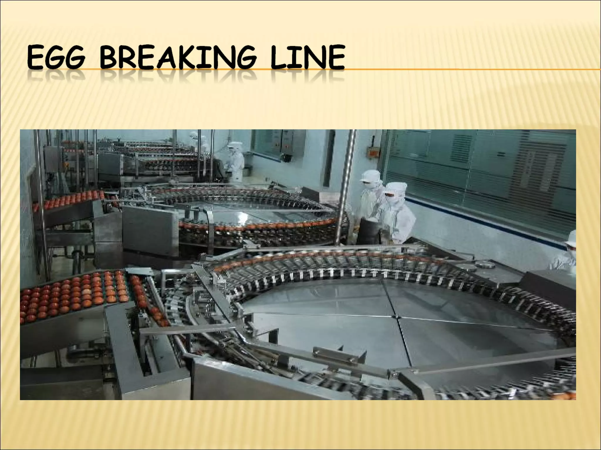 Industrial procesing of eggs | PPT