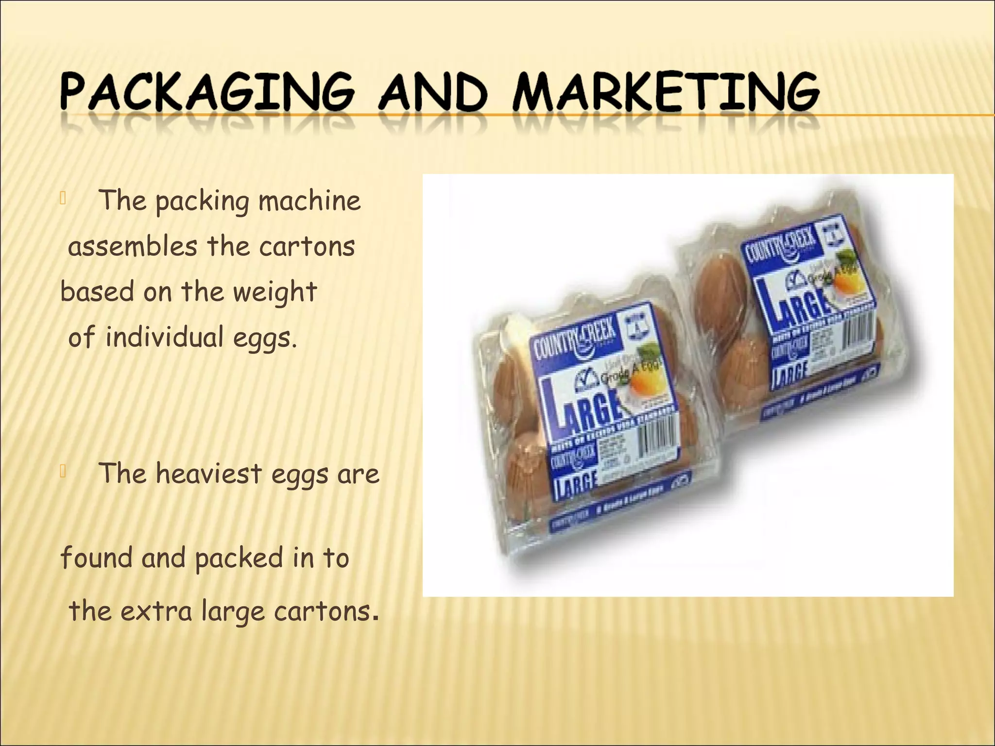Industrial procesing of eggs | PPT