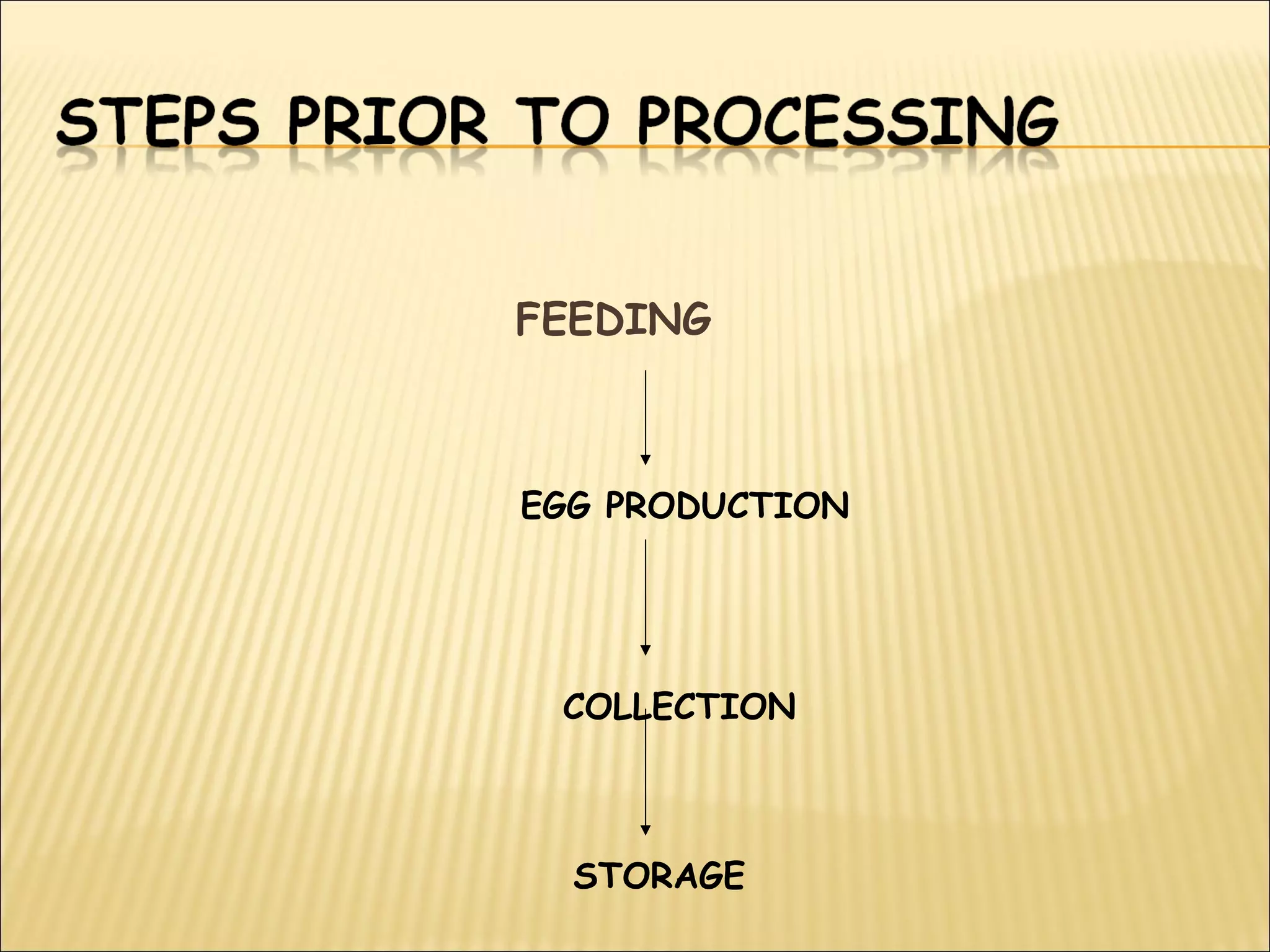 Industrial procesing of eggs | PPT