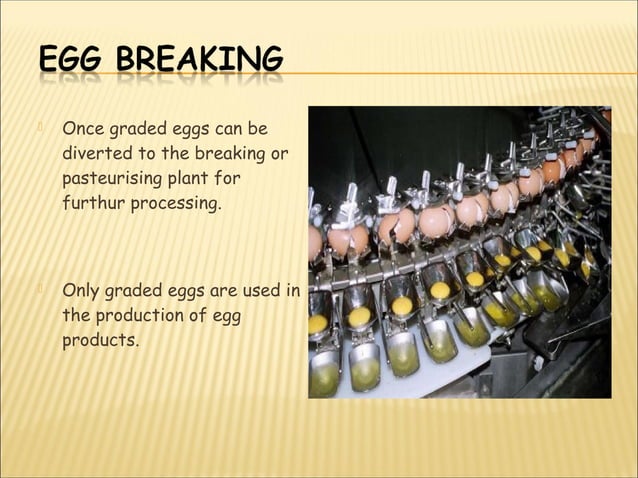 Industrial procesing of eggs | PPT