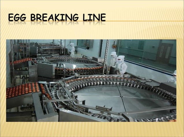 Industrial procesing of eggs | PPT