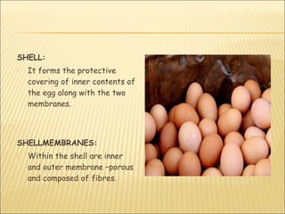 Industrial procesing of eggs | PPT