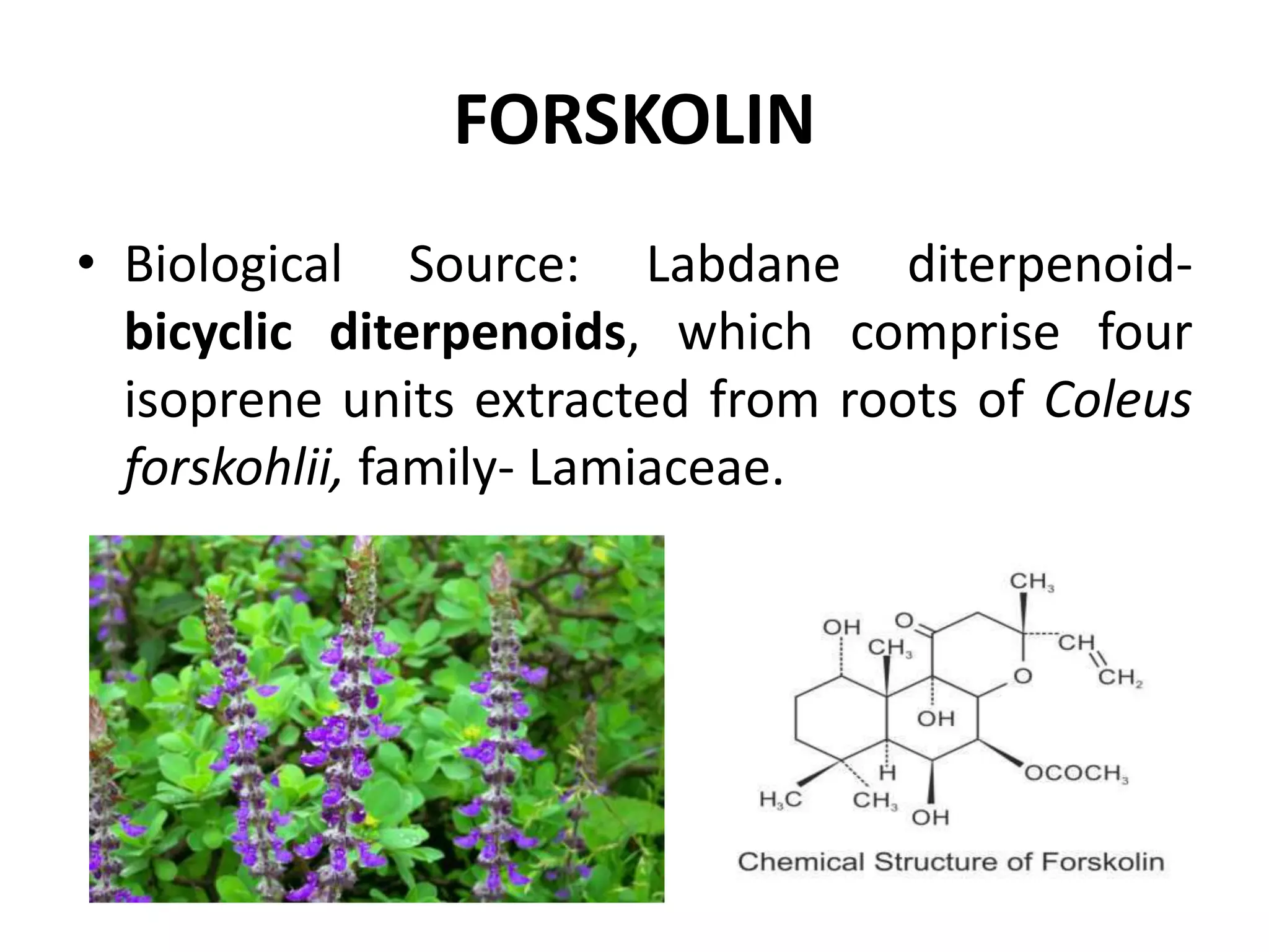 Industrial production, estimation and Utilization of Phytoconstituents ...