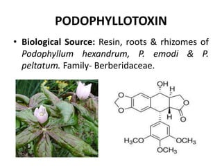Industrial production, estimation and Utilization of Phytoconstituents ...