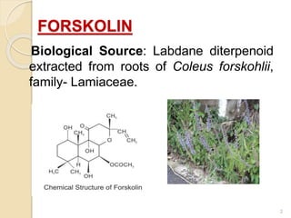 Industrial production, estimation and utilization of phytoconstituents ...