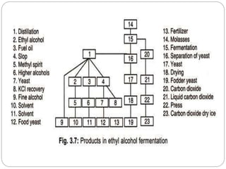 Industrial production of alcohol | PPTX